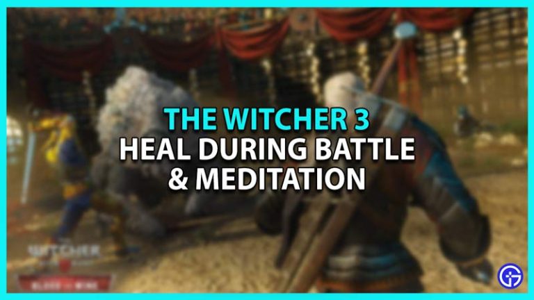 Heal During Battle & Meditation In Witcher 3 - Gamer Tweak