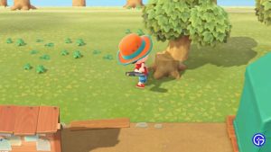 How To Get Axe In Animal Crossing New Horizons (ACNH)