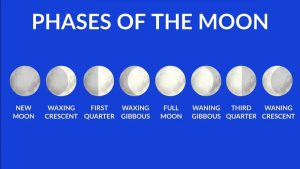 Blox Fruits Full Moon: When Does It Begin? - Gamer Tweak