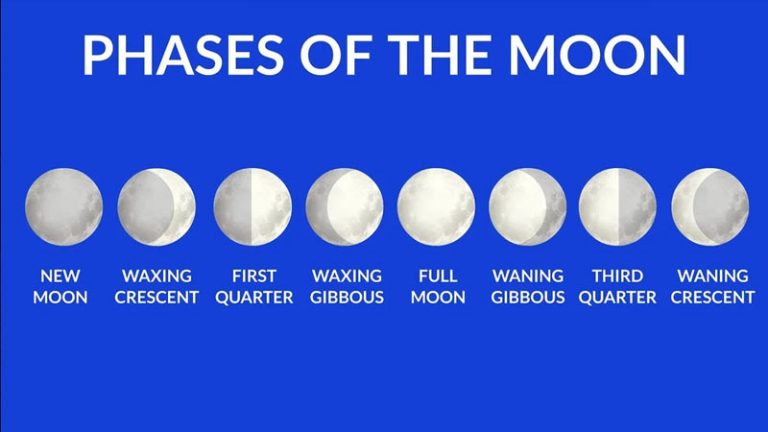 Blox Fruits Full Moon: When Does It Begin? - Gamer Tweak