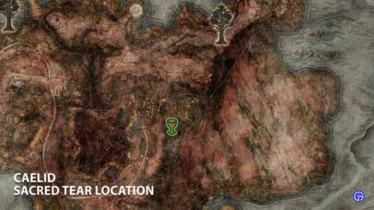 All Sacred Tear Locations In Elden Ring (Where To Get Them)
