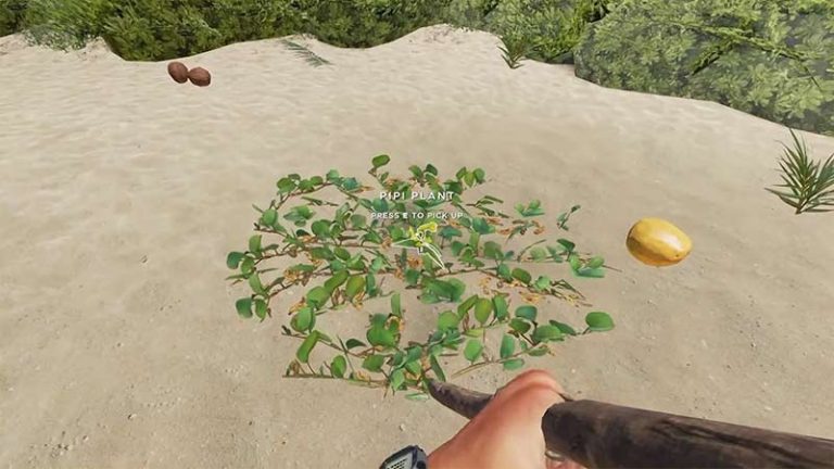 Where To Find The Pipi Plant In Stranded Deep - Gamer Tweak