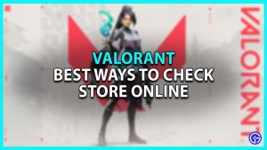 Top 3 Ways To Check Your Valorant Store Online - Gamer Tweak