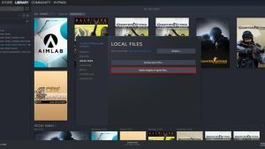 Steam Error Code E20 Or E2: How To Fix - Gamer Tweak
