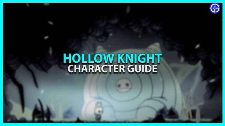 Hollow Knight Characters Guide - Gamer Tweak