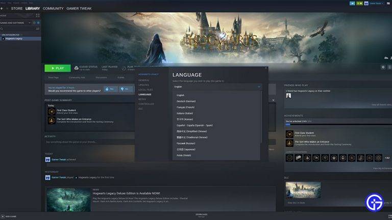 How To Change Language In Hogwarts Legacy? - Gamer Tweak