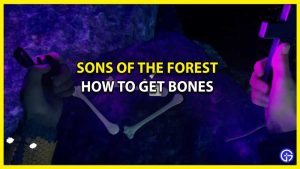 Sons Of The Forest Bones Guide - How To Farm & Get Them