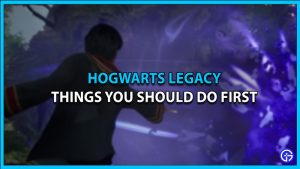 Things You Should Do First When You Start In Hogwarts Legacy