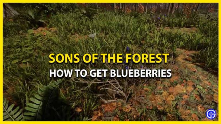 How To Get Blueberries In Sons Of The Forest - Gamer Tweak