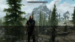 Skyrim PC Console Commands And Cheats List - Gamer Tweak