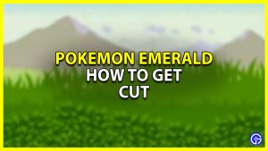 How To Get HM 01 Cut In Pokemon Emerald - Gamer Tweak