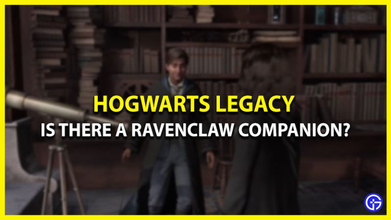 Is There A Ravenclaw Companion In Hogwarts Legacy? (Explained)