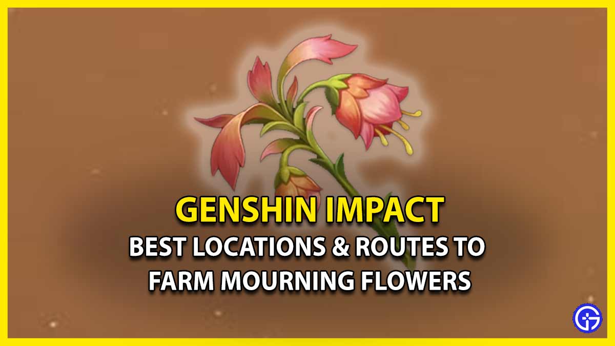 Locations To Farm Mourning Flowers In Genshin Impact (Routes)