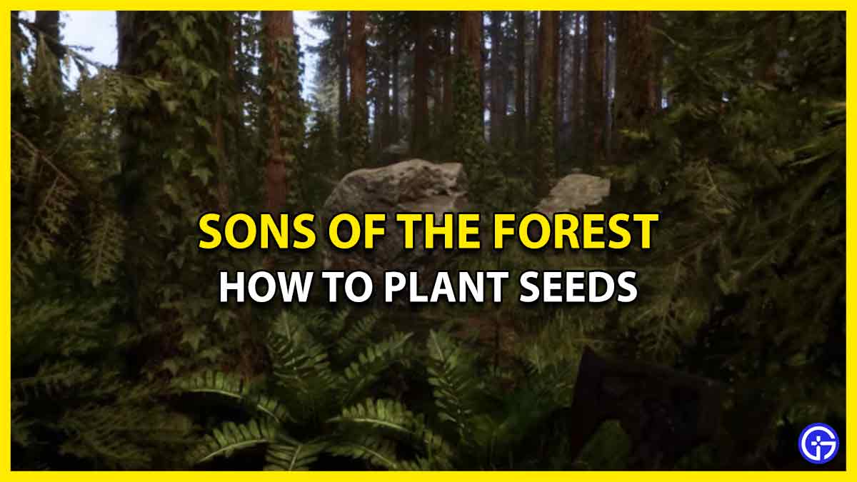 How To Plant Seeds In Sons Of The Forest (Gardening Guide)