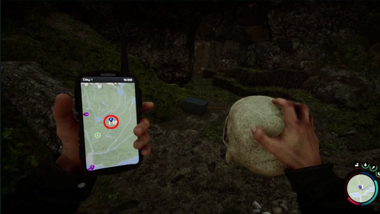 How To Get Skulls In Sons Of The Forest (Location & Uses)
