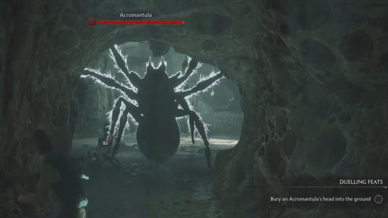 How To Bury Spider's Head In Hogwarts Legacy - Gamer Tweak