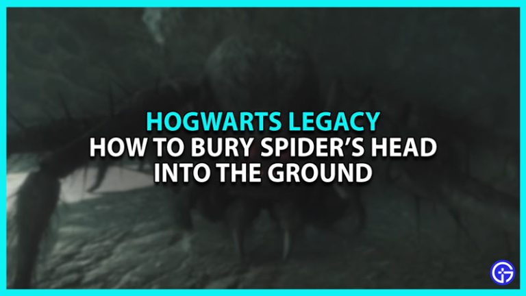 How To Bury Spider's Head In Hogwarts Legacy - Gamer Tweak