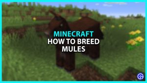 How To Breed & Get Minecraft Mules - Gamer Tweak