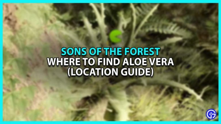 Where To Find Aloe Vera In Sons Of The Forest - Gamer Tweak