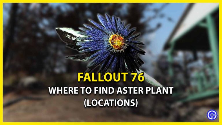 How To Find Aster Plant In Fallout 76 (Locations) - Gamer Tweak