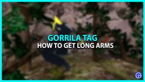 How To Have Longer Arms In Gorilla Tag - Gamer Tweak