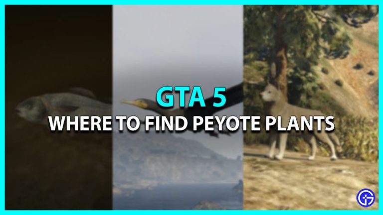 Where To Find All Peyotes Plant In GTA 5 (Locations) - 2023