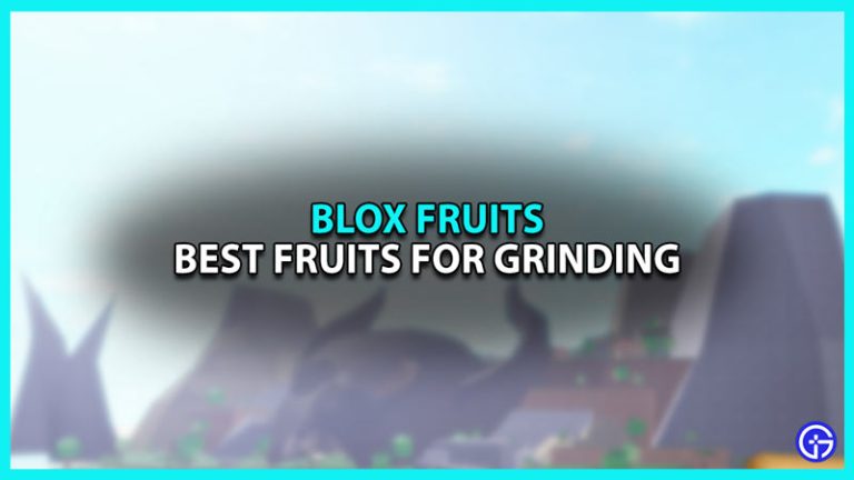Which Is The Best Fruit For Grinding In Blox Fruits - Gamer Tweak
