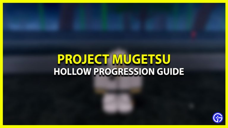 PM Hollow Progression Guide Explained (Hollow To Vastocar)