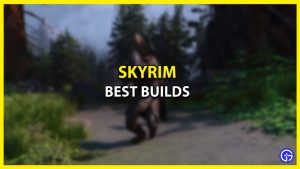 Top 10 Best Skyrim Builds In 2023 - Gamer Tweak