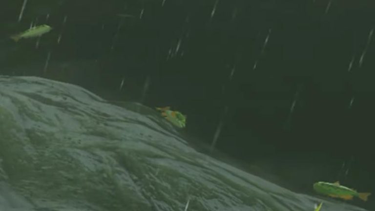 Where To Find Hyrule Bass In Zelda TOTK? (Location Guide)