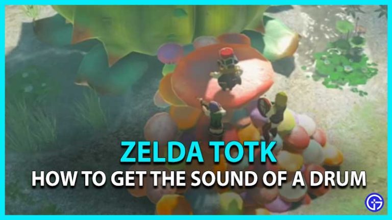 How To Get The Sound Of A Drum In Zelda TotK - Gamer Tweak