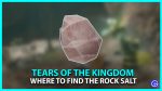 Where To Farm Rock Salt In Tears Of The Kingdom (TOTK)