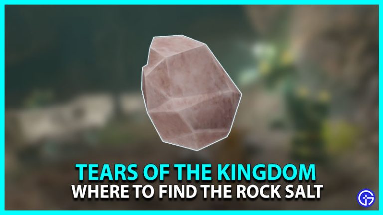 Where To Farm Rock Salt In Tears Of The Kingdom (TOTK)