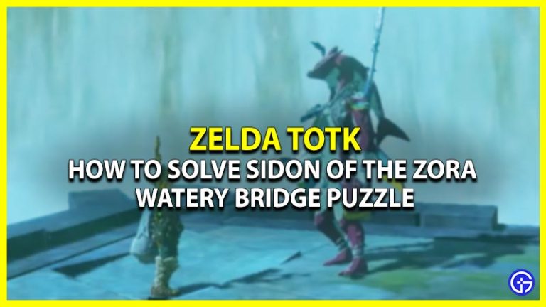 Watery Bridge Puzzle - TotK Sidon Of Zora Quest Solution
