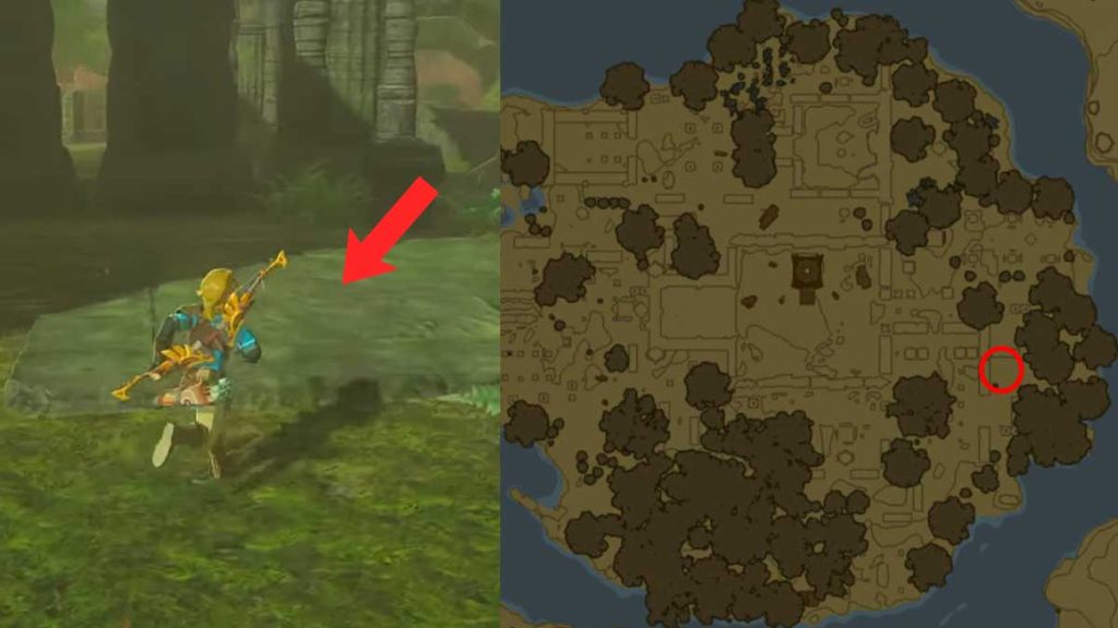 How To Solve The Long Dragon Quest In TOTK - Gamer Tweak