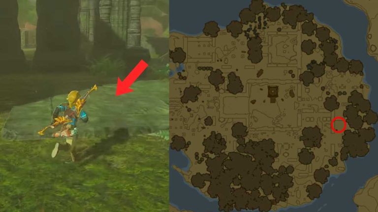 How To Solve The Long Dragon Quest In TOTK - Gamer Tweak