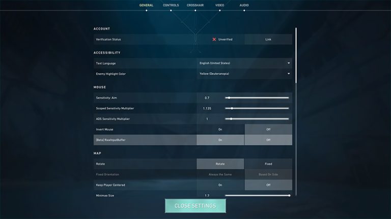 What Does Raw Buffer Input Do In Valorant? (Explained)