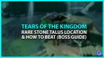 Zelda TOTK Rare Stone Talus Location & How To Beat (Guide)