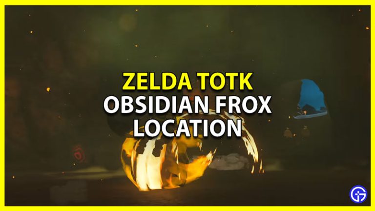 Zelda Tears Of The Kingdom: Obsidian Frox Location