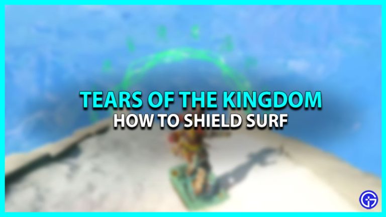 How To Shield Surf In Zelda TOTK - Gamer Tweak