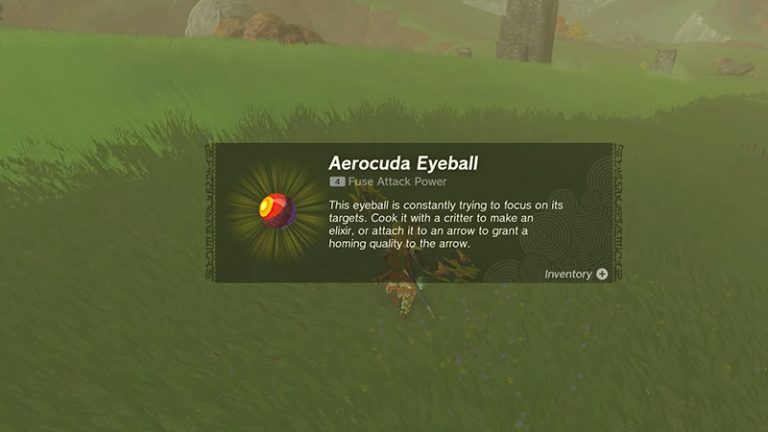 Where To Farm Zelda TOTK Aerocuda Eyeball - Gamer Tweak
