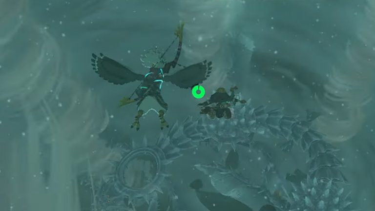 How To Beat Colgera In Tears Of The Kingdom (Wind Temple Boss)