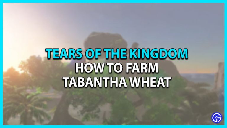 Where To Get & Farm Tabantha Wheat In Tears Of The Kingdom
