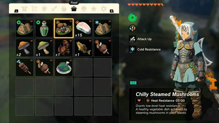 Best Heat & Cold Resistance Recipes In Zelda TOTK