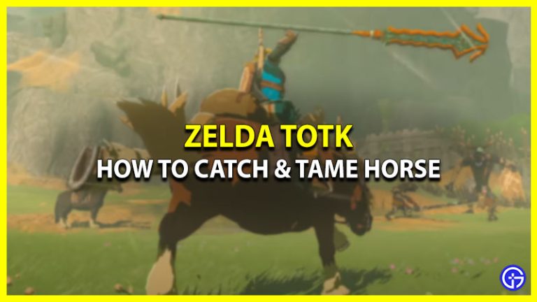 How To Get A Horse In Zelda Tears Of The Kingdom (TOTK)