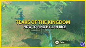 Where To Get Hylian Rice In Zelda Tears of the Kingdom (TOTK)