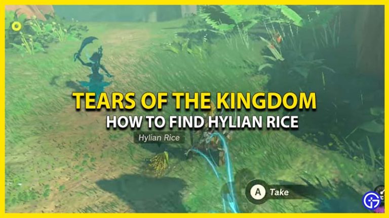 Where To Get Hylian Rice In Zelda Tears of the Kingdom (TOTK)