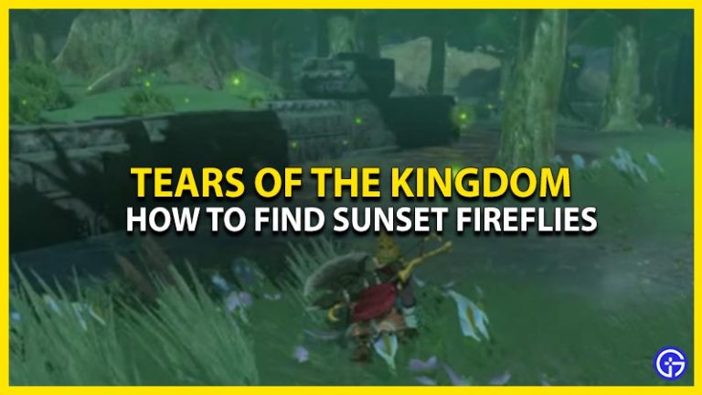 How To Get TotK Sunset Fireflies In Zelda Tears Of The Kingdom