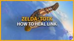 How To Heal Link & Restore Hearts In Zelda TOTK - Gamer Tweak