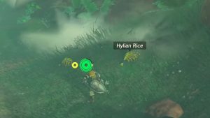 Where To Get Hylian Rice In Zelda Tears of the Kingdom (TOTK)